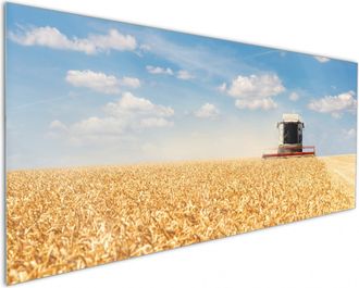 Wallario K&uuml;chenr&uuml;ckwand aus Glas 125 x 50 cm, Motiv: Erntezeit auf dem Feld | Spritzschutz abwischbar & pflegeleicht