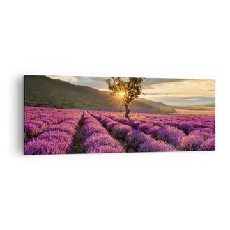 Arttor Panorama Bilder auf Leinwand Lavendel Berge Feld Leinwandbild 140x50cm Wandbilder Dekoration Wohnzimmer Schlafzimmer K&uuml;che Gro&szlig; XXL Wanddeko Bild Wand