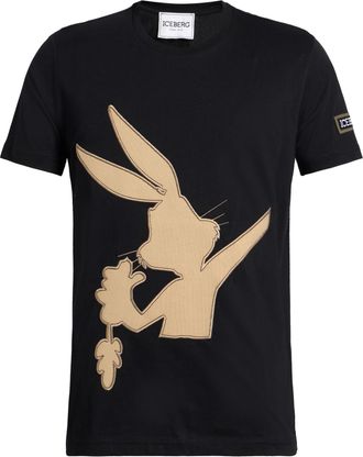 Iceberg LOONEY TUNES