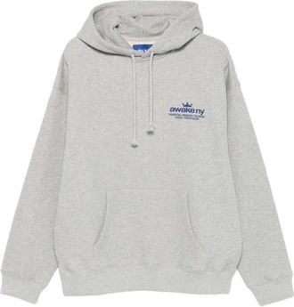 Awake NY Homme, Sweatshirts et sweats &agrave; capuche, Gris, Taille: M Globe Sweat &agrave; capuche
