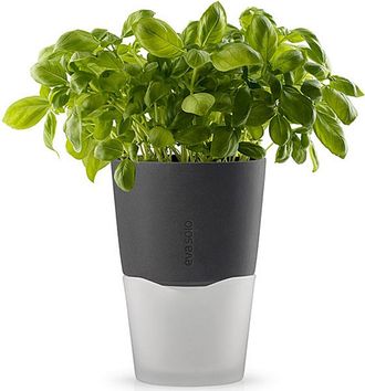 Eva Solo Eva Solo Kr&auml;utertopf 11 Steingrau, Stein