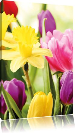 Pixxprint Osterglocken und Tulpen als, Größe: 80x60cm, Leinwandbild, fertig gespannt, Wandbild, Dekoration, Kunstdruck, kein Poster