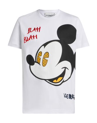 Iceberg DISNEY