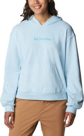 Columbia Columbia Logo III French Terry Hoodie