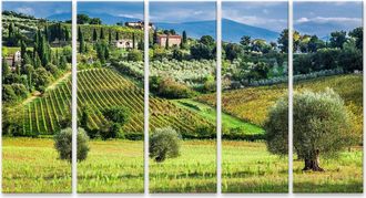 Islandburner Leinwandbild Weinberge Olivenb&auml;ume Kleines Dorf Toskana Italien - Leinwand 160x80cm - 5 Teile XXL