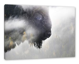 Pixxprint Wildes Bison in nebeligem Wald, Gr&ouml;&szlig;e: 120x80cm, Leinwandbild, fertig gespannt, Wandbild, Dekoration, Kunstdruck, kein Poster