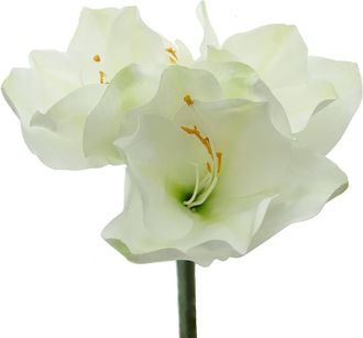 Gasper Pr&auml;chtige Amaryllis Wei&szlig; - Stiell&auml;nge 56 cm - Kunstblumen