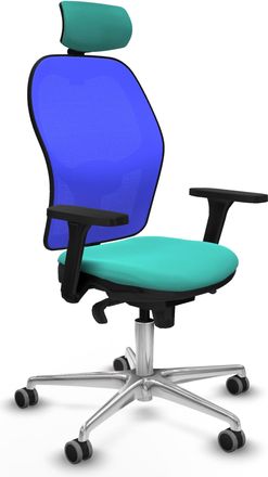 Piqueras y Crespo Stuhl mit R&uuml;ckenlehne und Armlehnen, h&ouml;henverstellbare Lendenwirbelst&uuml;tze und Kopfteil h&ouml;henverstellbar und neigbar. Ausgestattet mit 5 Positionen, Bl