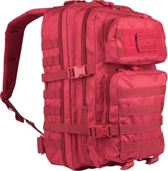 Mil-Tec US Assault Pack Tagesrucksack (36L) - Taktischer Militär Rucksack mit MOLLE-System - Kompakter Bundeswehr Rucksack, Wanderrucksack, Reiserucksack für 