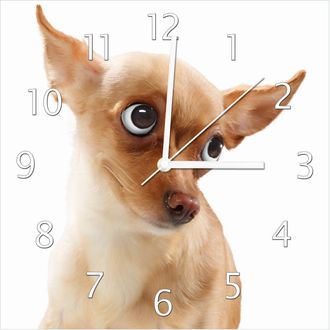 Wallario Design-Wanduhr Lustiger Hund mit fliegenden Ohren aus Glas, Motiv-Uhr Größe 30 x 30 cm, weiße Zeiger