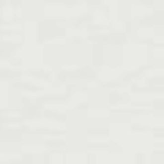 Gerard Darel T-Shirt Maraude weiss