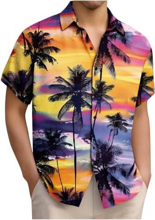Generic Chemise hawa&iuml;enne d&eacute;contract&eacute;e et confortable pour homme - Col rabattu - L&eacute;g&egrave;re et respirante - Classique - Chemise de plage &agrave; manches courtes - Chemi