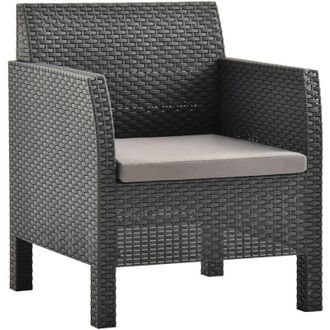vidaXL Vidaxl - Chaise de jardin avec coussin pp Rotin Anthracite