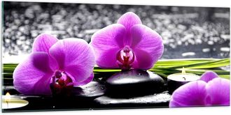 Arttor Wandbilder Dekoration Wohnzimmer Orchidee Natur Wasser Blume Panorama Bilder auf Glas 120x50cm Glasbild Schlafzimmer Küche Wand Kunstdruck Art Groß Wa