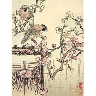 Artery8 Bairei Kacho Gafu Frühlingspflaumenblüten und Eichelhäher Ungerahmter Leinwanddruck 30x40 cm