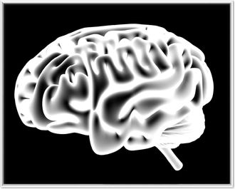 Wallario Black and White Edition - Wandbild Menschliches Gehirn in Leuchtend Blauer Farbe in Premiumqualität, Poster mit weißem Rahmen, Größe: 40 x 50 cm