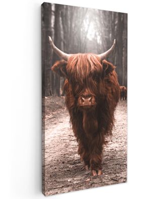 MuchoWow Leinwand Bilder Schottisches Rind Hochlandrind, wunderschöne Bilder mit Rahmen, Deko Wohnzimmer, Wanddeko 20x40