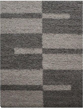 Gala Gala - Tapis Salon Chambre Shaggy Motifs Géométrique - roma (Marron - 120x170cm)