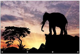 Wallario Outdoor-Poster f&uuml;r Garten oder Balkon Elefant vor Abendhimmel, Motivbanner Gr&ouml;&szlig;e: ca. 100 x 150 cm, Outdoor-Bild