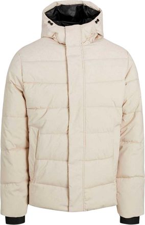 Jack & Jones Jack And Jones - Steppjacke f&uuml;r Herren, mit Kapuze, gerippt (Mondstrahl)