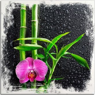 Wallario Wandbild aus Holz Bambus und Pinke Orchidee auf schwarzem Glas mit Regentropfen - 40 x 40 cm in Premium-Qualität: Brillante Farben