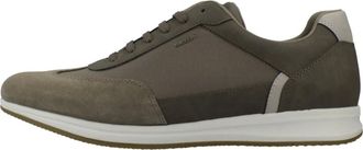 Geox Homme, Chaussures, Vert, Taille: 43 EU U Avery