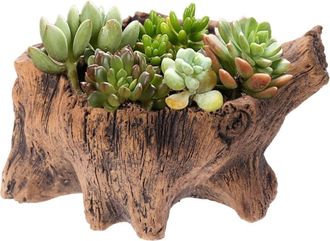 Milisten Holz Blumentopf Vintage Stil Mit Baumwurzeln Zement Pflanzgef&auml;&szlig; F&uuml;r Sukkulenten Innen Und Au&szlig;enbereich Dekorationsbeh&auml;lter