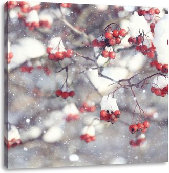 Pixxprint Vogelbeeren mit Schnee bedeckt, Größe: 60x60, Leinwandbild Quadratisch, Wandbild, Kunstdruck, fertig bespannt
