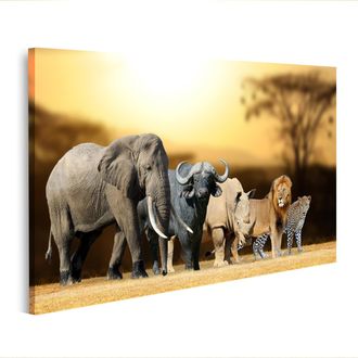 Islandburner Bild Bilder auf Leinwand Big Five Afrika - L&ouml;we, Elefant, Leopard, B&uuml;ffel und Nashorn Wandbild Poster Leinwandbild VKZ