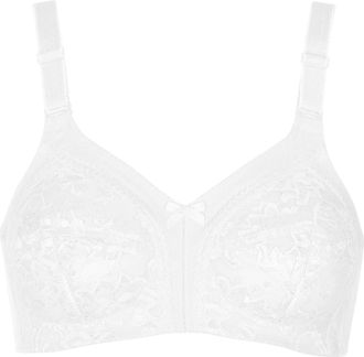LISCA BH Sabina