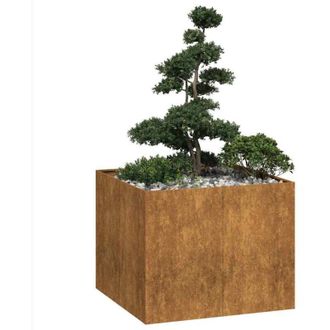 vidaXL Vidaxl - Jardini&egrave;re rouill&eacute; 100x100x80 cm acier inoxydable