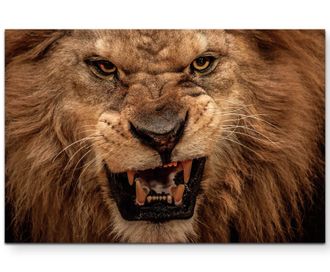 Paul Sinus Art Leinwandbilder | Bilder Leinwand 120x80cm Portrait eines br&uuml;llenden L&ouml;wen