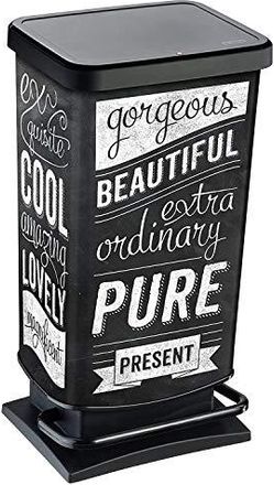 Rotho Paso Poubelle 40l avec pédale et couvercle, Plastique (PP) sans BPA, hipster, 40l (35,3 x 29,5 x 67,6 cm)