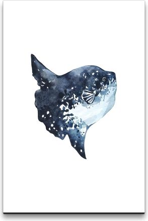 Paul Sinus Art Wandbild auf Leinwand 60x90cm Mondfisch Blau Ozean Fisch Wasserfarben Kunstvoll Modern