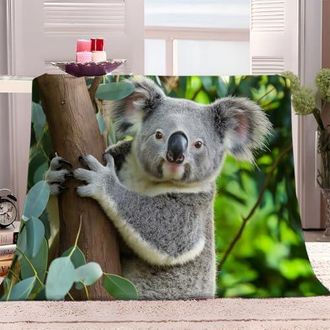 Generic Eucalyptus Animal Koala Adulte et Enfant Couverture Plaid Flanelle Vert Couverture de Jet&eacute;, Polaire Moelleuse Chaudes L&eacute;g&egrave;res Hiver&Automne Couverture