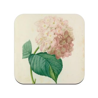 Fabulous Untersetzer aus Kork - Hortensien-Board, Botanische Illustration, alte Blumen, 1 Stück (95 x 95 mm)