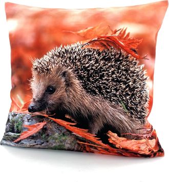 Heimtexland Dekokissen Bezug Winter Tiere Foto Digitaldruck Kuschelige Velour Kissenhülle 40x40 Deko Kissen Typ831 Igel