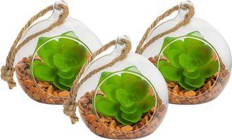 Nicola Spring Pflanzenterrarien aus Glas - Set für Sukkulenten, Farne und Kakteen - zum Hinstellen oder Aufhängen - 80 mm - 3er-Set