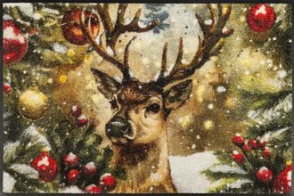 Wash+Dry Fu&szlig;matte, Festive Spirit 50x75cm, innen und au&szlig;en, waschbar