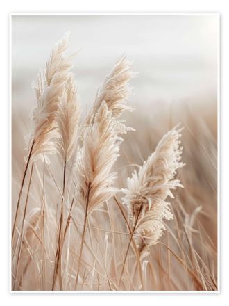 Posterlounge Pampasgras am Meer Poster von Melanie Viola 50 x 70 cm Beige Wandbilder Wanddeko