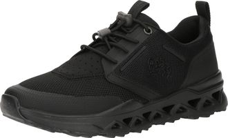 Salamander Sneaker