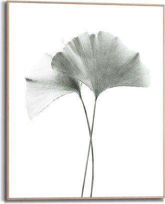 Reinders Gerahmtes Bild, Ginkgo Blatt, Wohnzimmer, Bilder, Wanddeko, Room Decor, MDF, Gr&uuml;n, 50 x 40cm