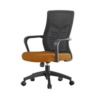 Generic B&uuml;rostuhl, H&ouml;henverstellbar, Ergonomisch, Netzgewebe, Belastbarkeit 250 Kg, for Zuhause Und B&uuml;ro(Color4)
