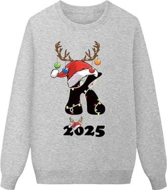 Generic Sweats de Noël assortis pour la famille, bonnet de Père Noël A-Z avec lettres imprimées de renne mignon, pull familial de Noël, chandail de vacances p