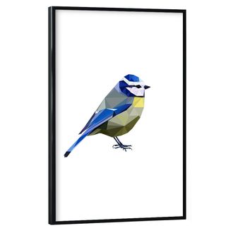 artboxONE Poster mit schwarzem Rahmen 30x20 cm Natur Blaumeise - Meise heimischer Vogel - Bild meise