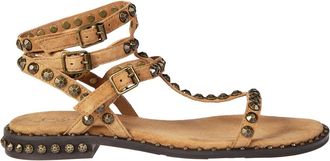 Ash Ash, Femme, Chaussures, Brun, Taille: 41 EU D Cachemere