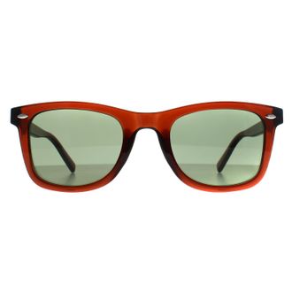 Calvin Klein Square Herren Transparent Braun Gr&uuml;n CK22555S