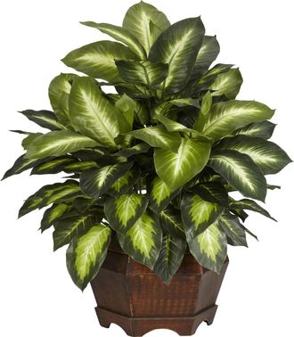 Nearly Natural 6639, 61 cm Goldene Dieffenbachia, Seidenpflanze, Grün