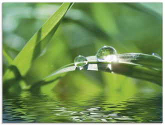 Artland ARTland Wanddeko Glasbilder Wandbild Glas Bild einteilig 60x45 cm Querformat Natur See Pflanzen Blätter Gräser Teich Wassertropfen Sonne T5SE