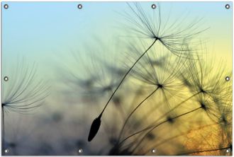 Wallario Outdoor-Poster f&uuml;r Garten oder Balkon Samen der Pusteblume in Nahaufnahme vor blauem Himmel, Motivbanner Gr&ouml;&szlig;e: ca. 100 x 150 cm, Outdoor-Bild